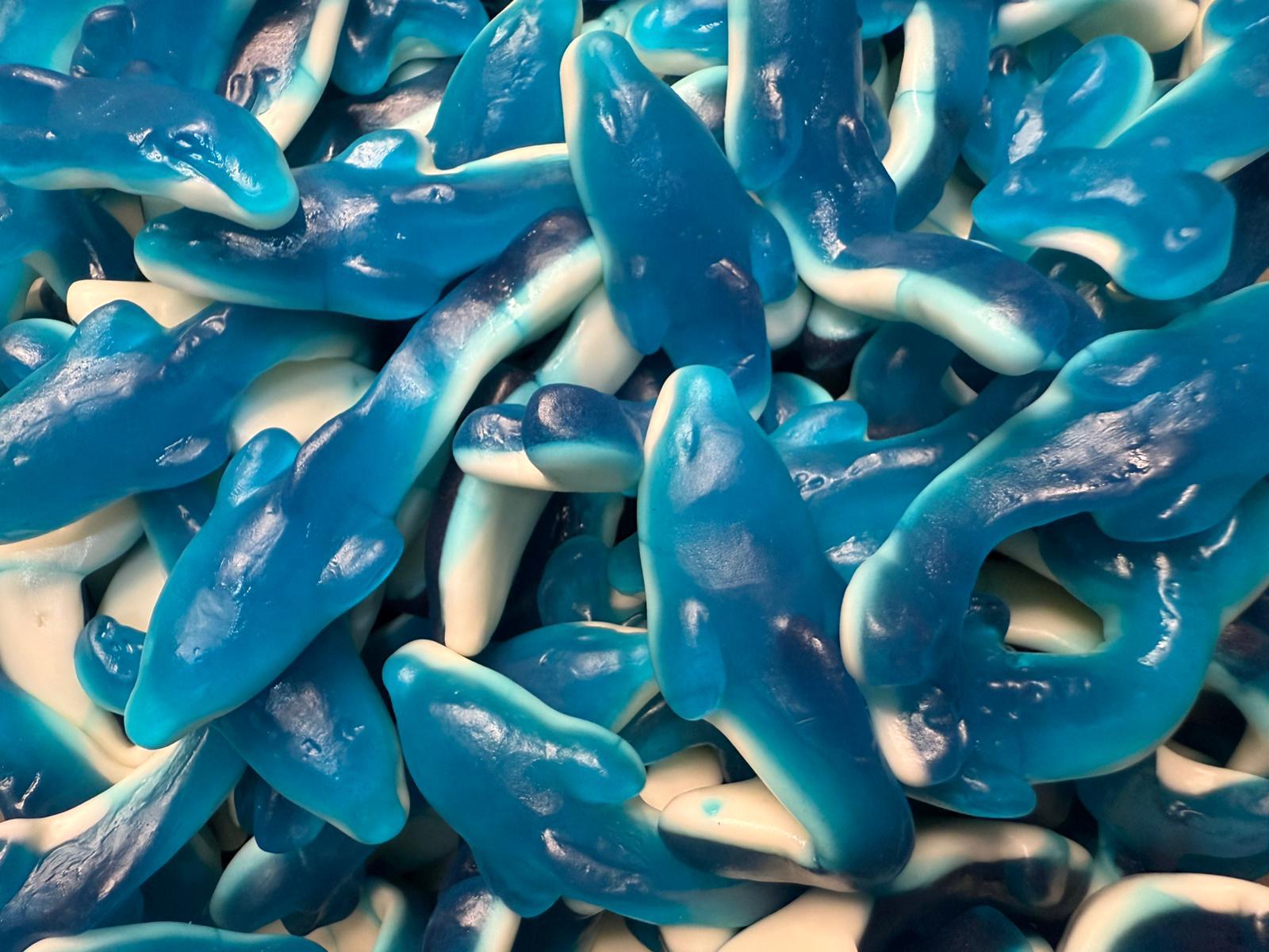 Baby Dolphins – Sweet Bros